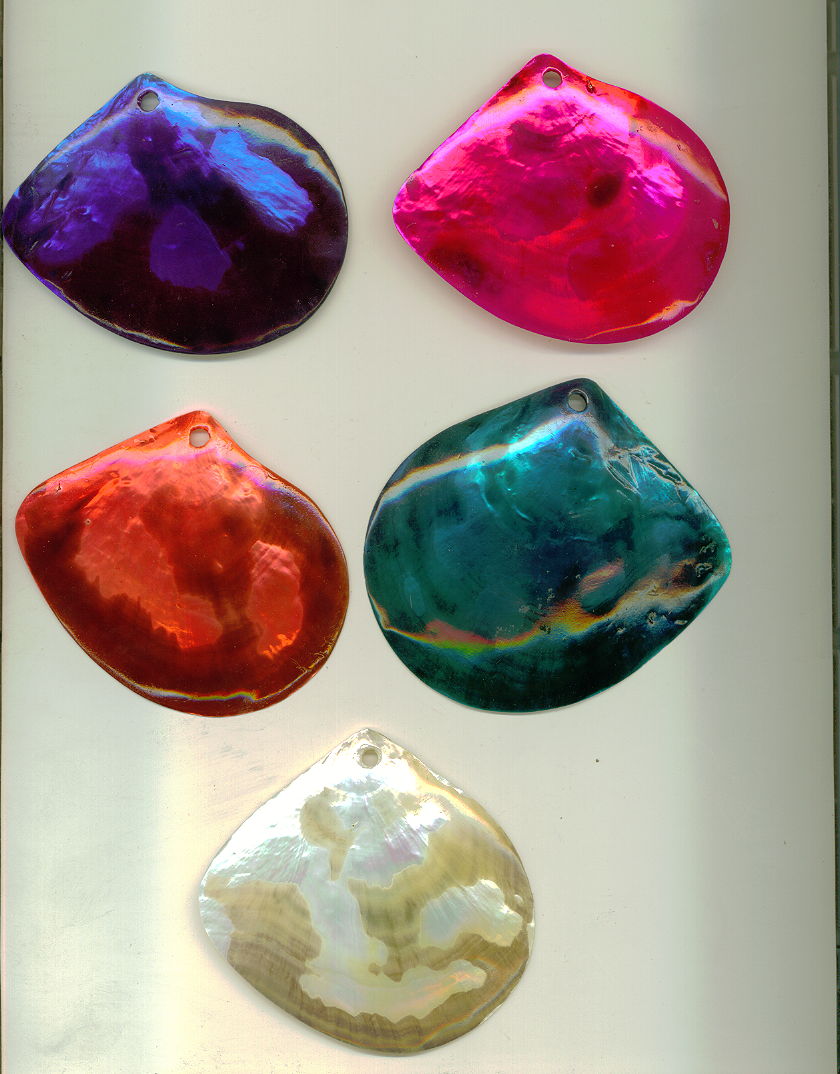 Abalone & Shell Beads, Shapes, Pendants